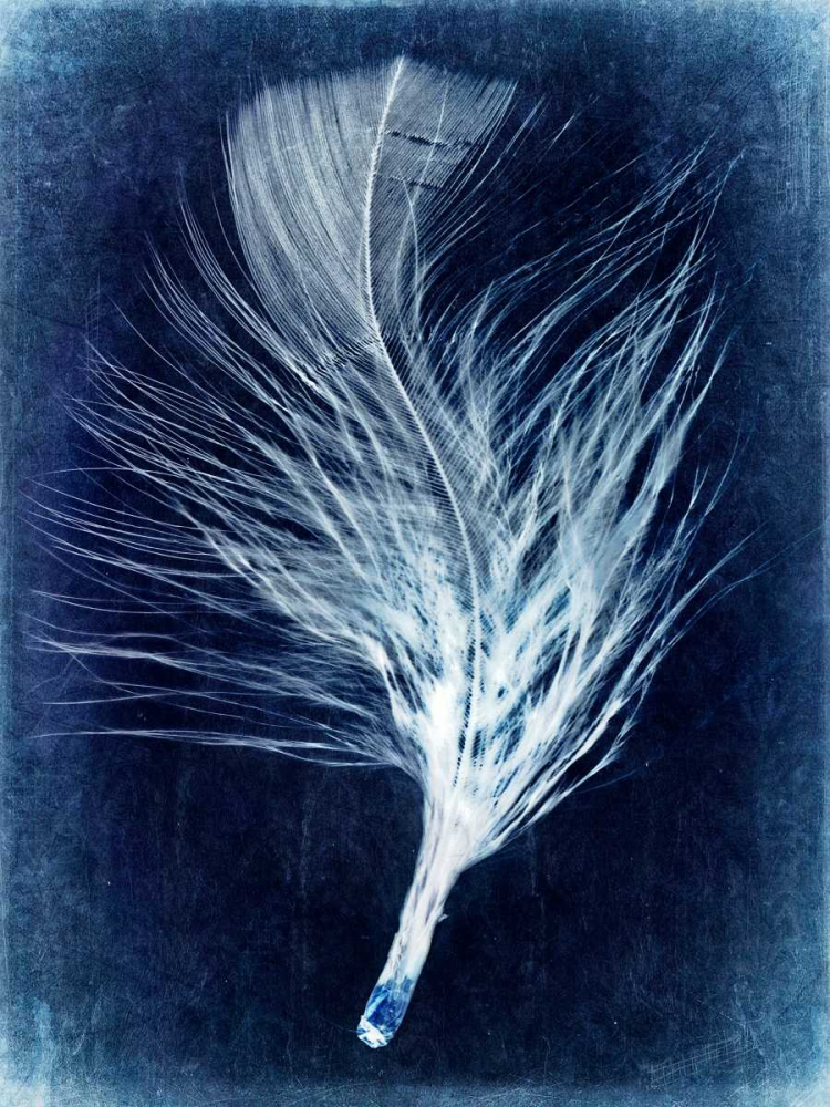 Somerset House - Images. INVERTED FEATHER III