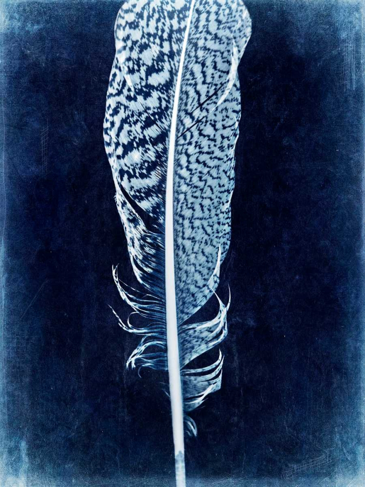 Somerset House - Images. INVERTED FEATHER IV