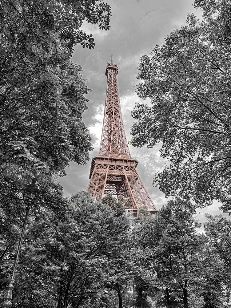 Somerset House - Images. EIFFEL TOWER THROUGH TREES Somerset House - Images. EIFFEL TOWER THROUGH TREES