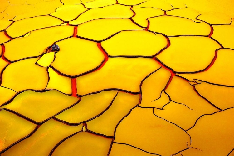 Somerset House - Images. YELLOW GROUND RED HEART