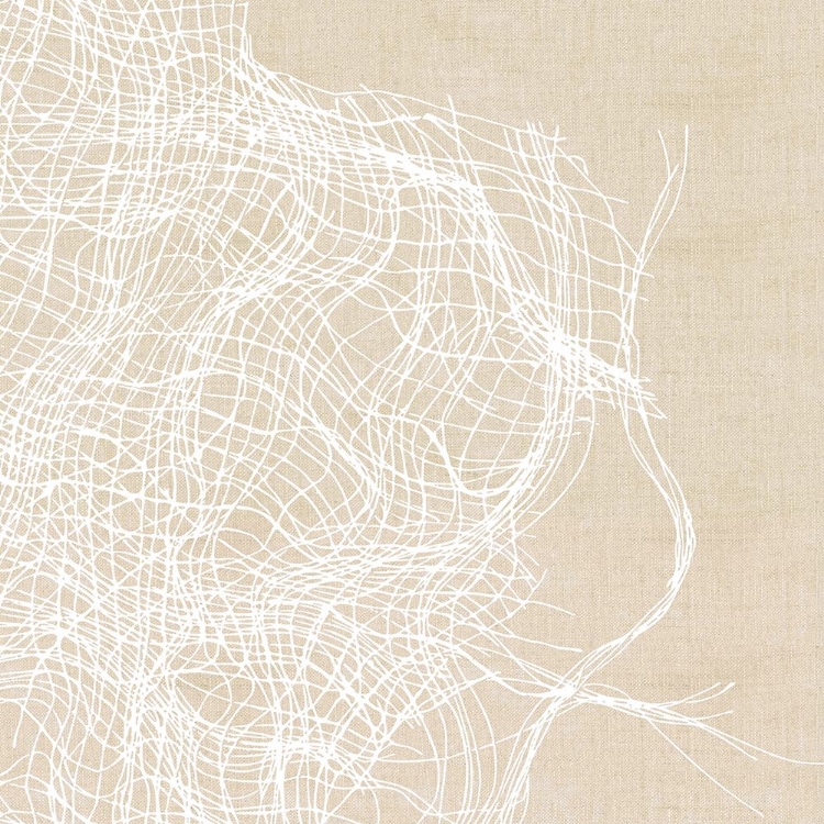 Somerset House Images Entangled Lines Ii